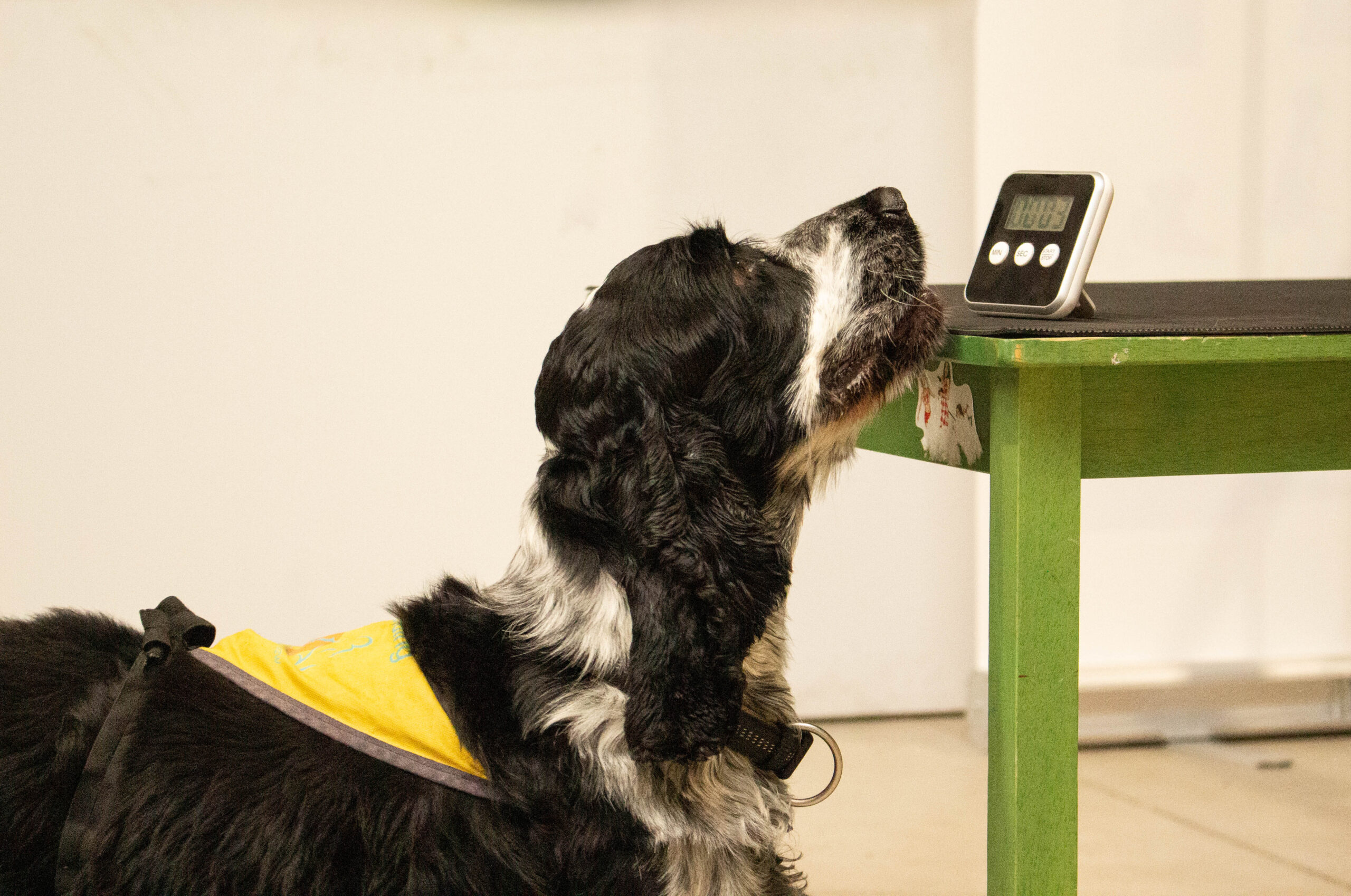 Van Gelder Mark | Ambachtelijk Weekend 2025